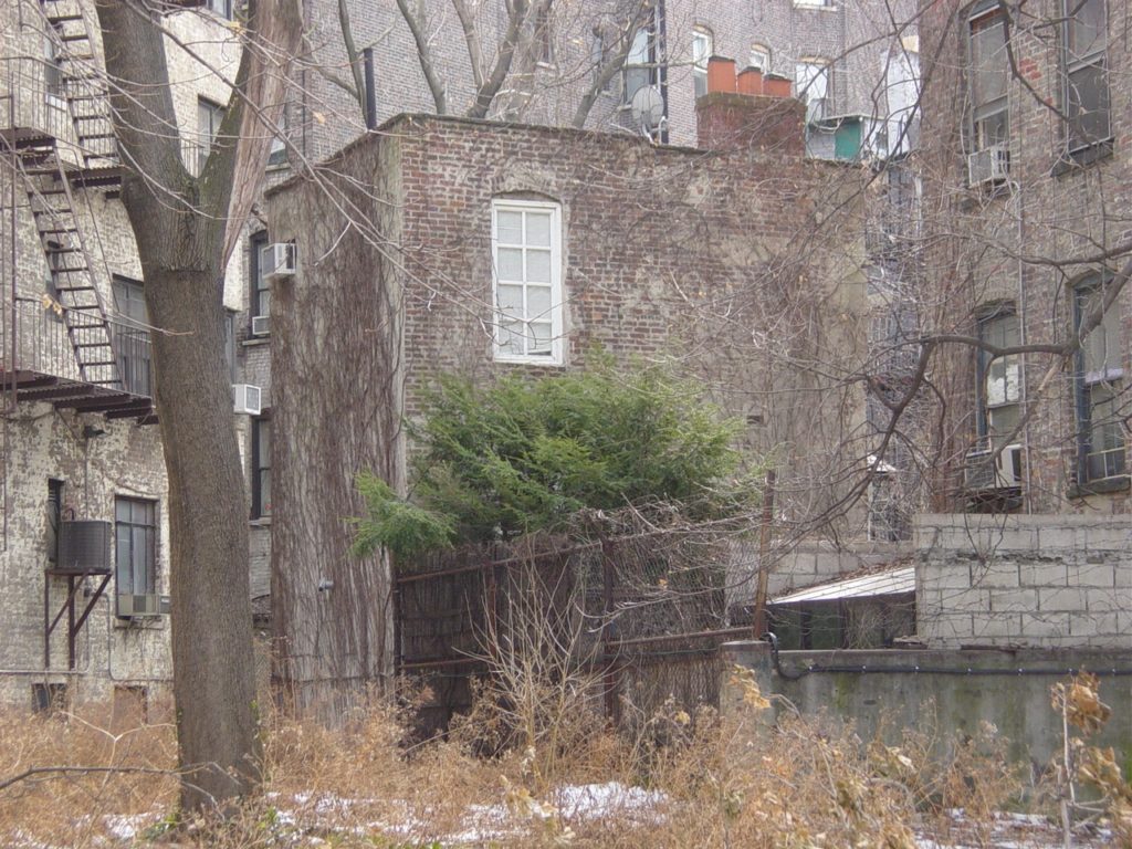 The Backstory on Backhouses - Village Preservation