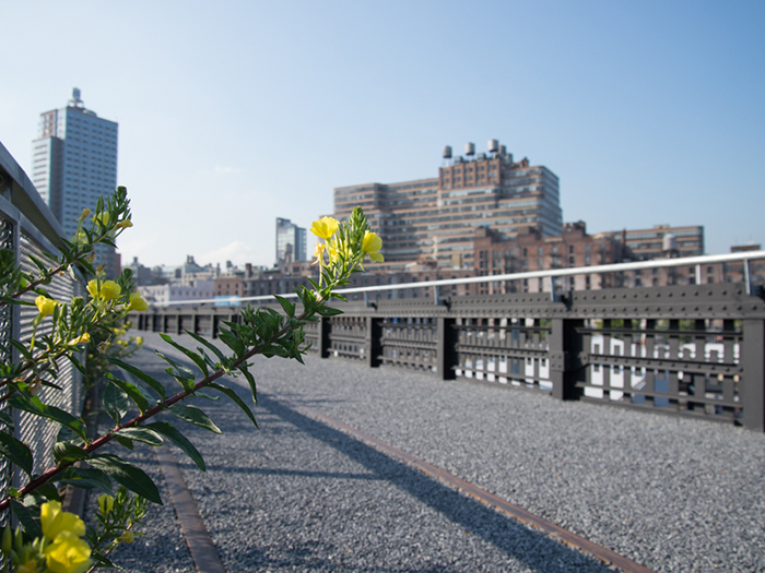 High Line, Part 3 - Village Preservation