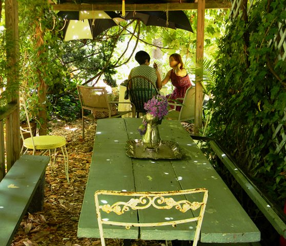Preservation Includes Community Gardens, and More - Village Preservation