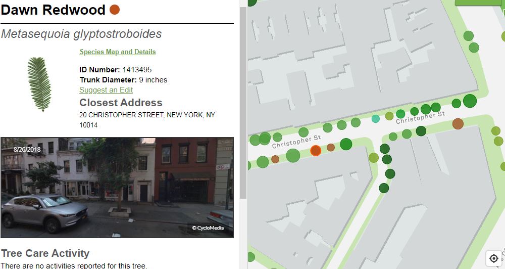 Map Every Street Tree — Which is Your Favorite? - Village Preservation