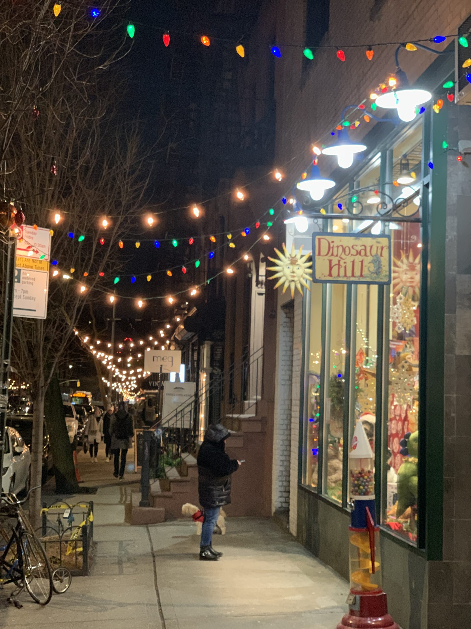 Holiday Shopping in the Village - Village Preservation