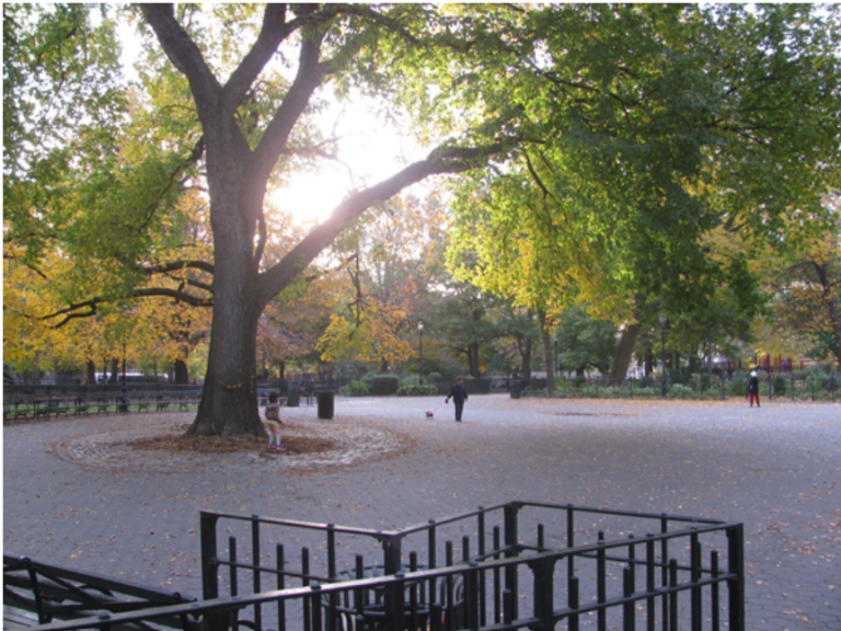 Celebrity Trees of Our Neighborhoods - Village Preservation