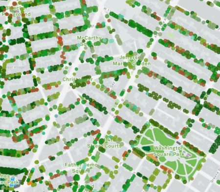 Celebrity Trees of Our Neighborhoods - Village Preservation