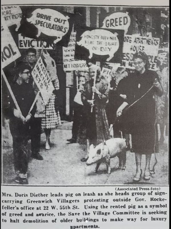 Doris Diether Oral History: Activist and Zoning Maven - Village ...