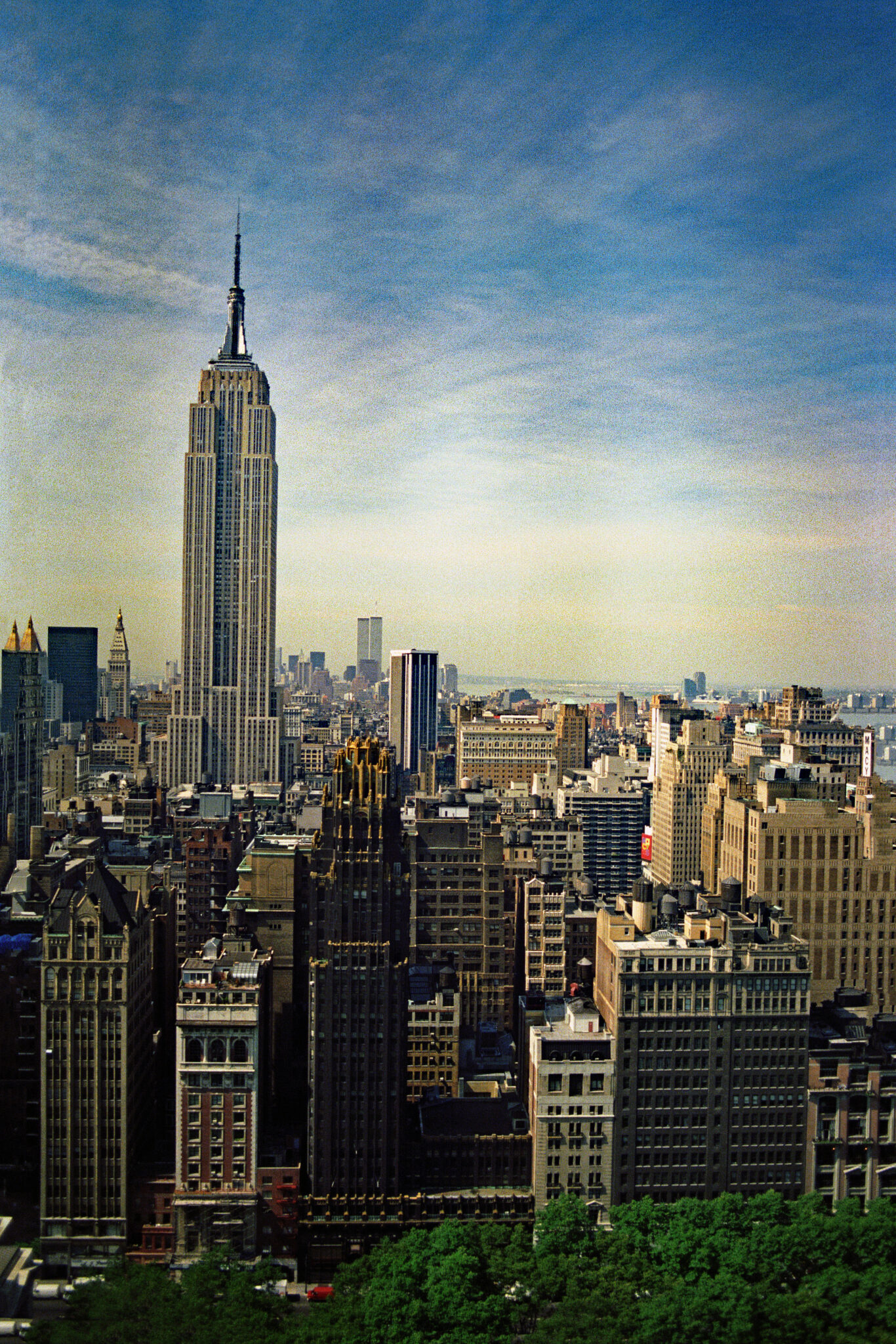 View Downtown from Bryant Park featuring the Empire State Building and ...