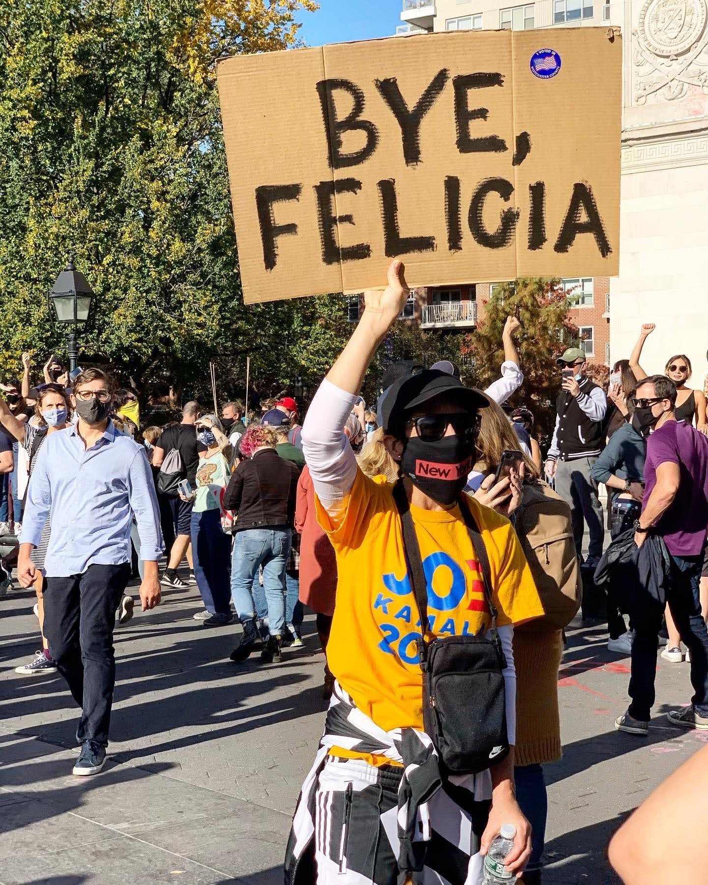 “Bye Felicia” Masked Demonstrator in Washington Square Following the ...