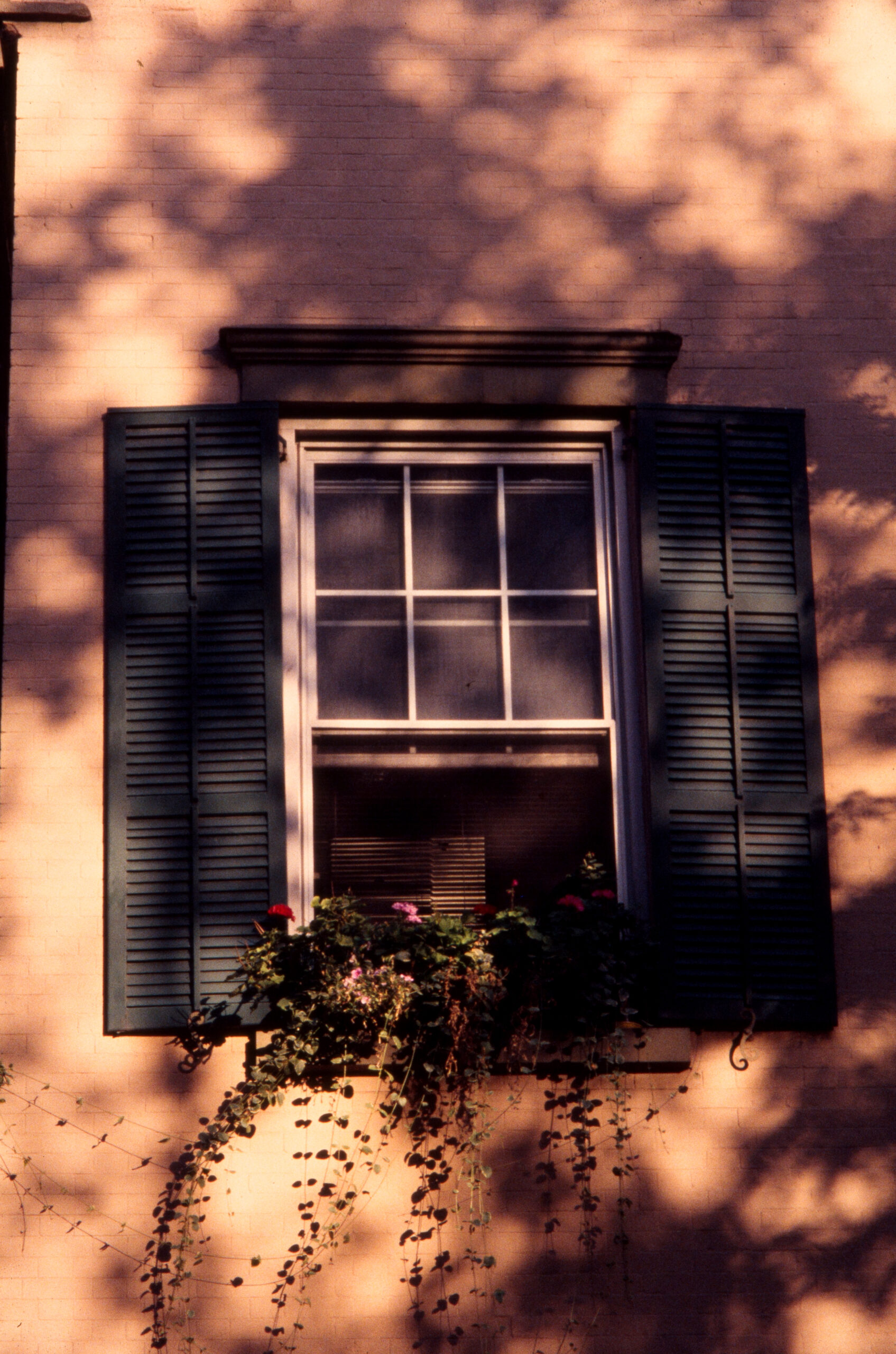 205 Prince Street, Window 2 - Village Preservation
