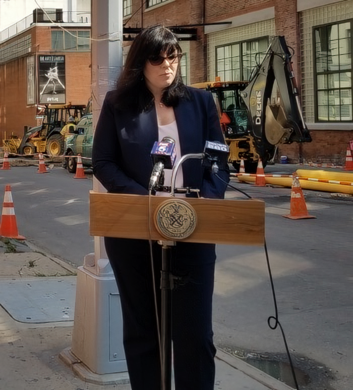 Longtime Landmarks Preservation Commission Chair Sarah Carroll Stepping ...
